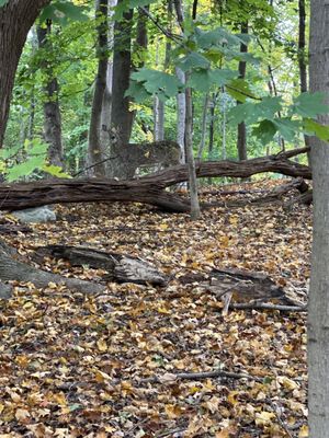 DEPEW PARK & POOL - Updated September 2025 - 20 Photos - 363 Union Ave ...