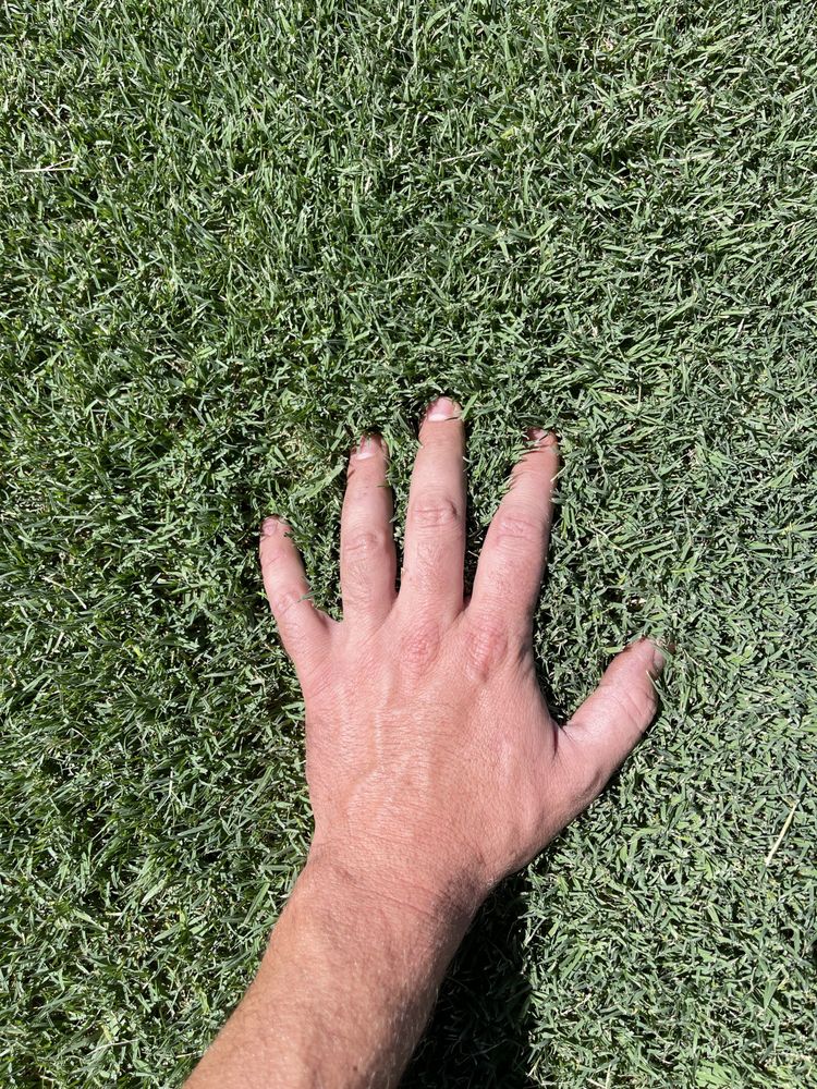 THE SOD FARM - Updated October 2025 - 9707 16920th S, Goshen, Utah ...