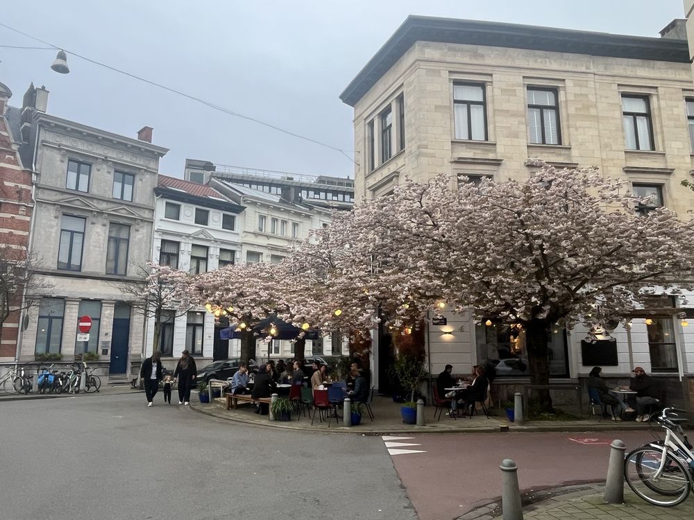 WALVIS - Updated July 2025 - Walvisstraat 1, Antwerpen, Belgium - Cafes ...