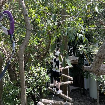 TREETOP TREKKING MIAMI - Updated January 2026 - 32 Photos & 23 Reviews ...