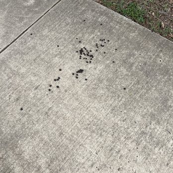 BULVERDE COMMUNITY PARK - Updated October 2025 - 33 Photos & 11 Reviews ...