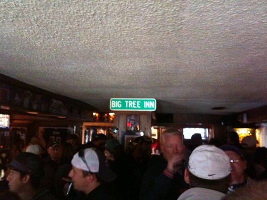 BIG TREE INN - Updated May 2024 - 34 Photos & 47 Reviews - 4277 Abbott ...