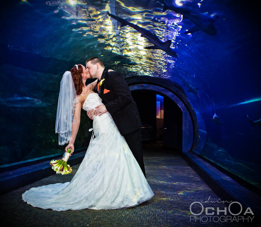 EDWIN OCHOA PHOTOGRAPHY - Updated July 2025 - 45 Photos - New York, New ...