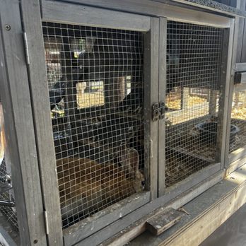 GOOD MOOD RANCH - Updated December 2025 - 148 Photos & 18 Reviews - 306 ...