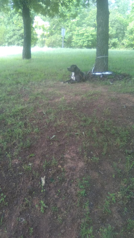 TWO GALS AND A GUY - Updated November 2024 - Request a Quote - Oklahoma ...