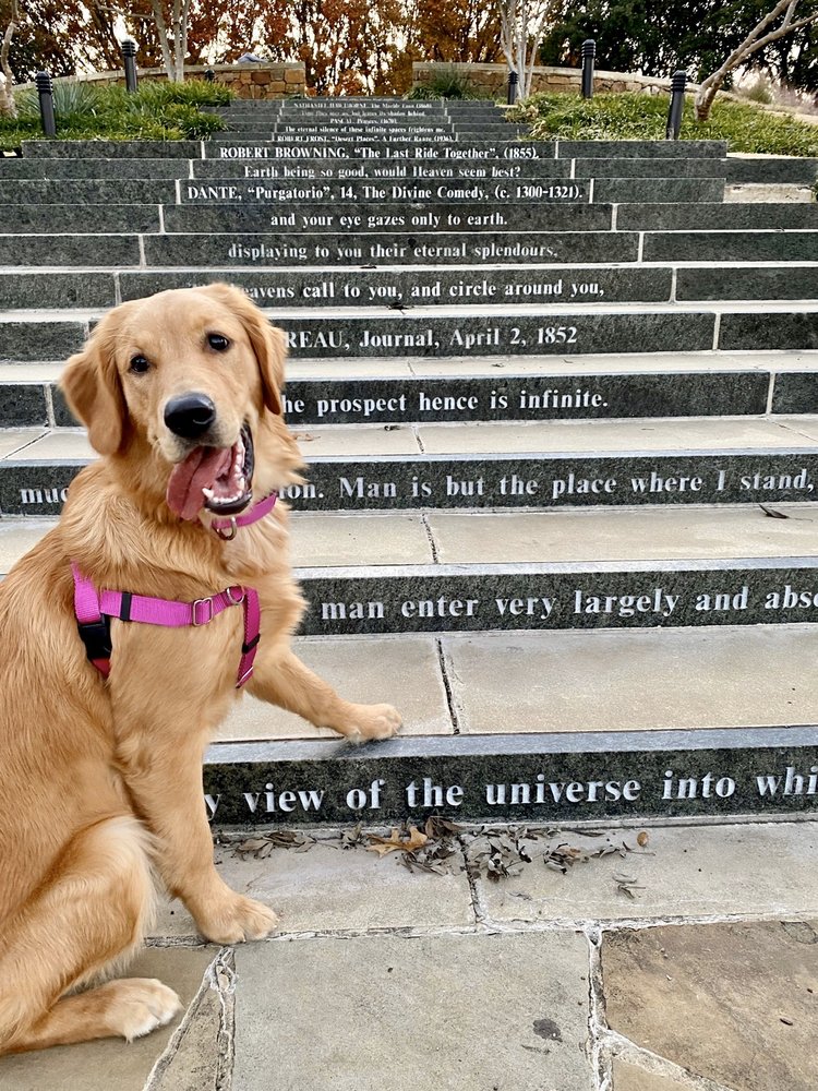 CELESTIAL PARK - 24 Photos & 28 Reviews - 5501 Celestial Rd, Addison ...