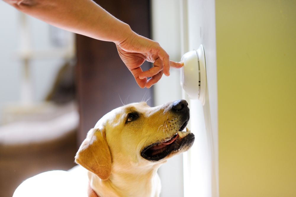 THE SAM SIMON FOUNDATION - Updated October 2025 - 22 Reviews - 30765 ...