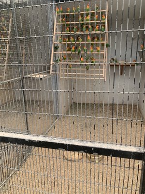 MAGNOLIA BIRD FARM - 115 Photos & 151 Reviews - 12200 Magnolia Ave ...