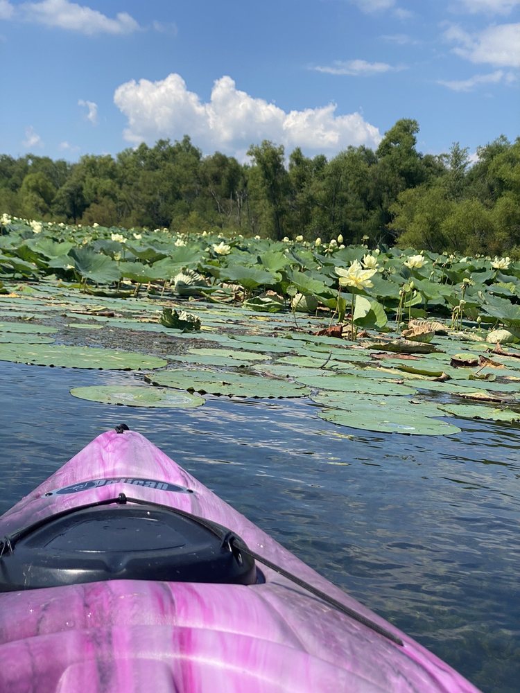 SUMMIT LAKE STATE PARK - Updated December 2025 - 105 Photos & 25 ...