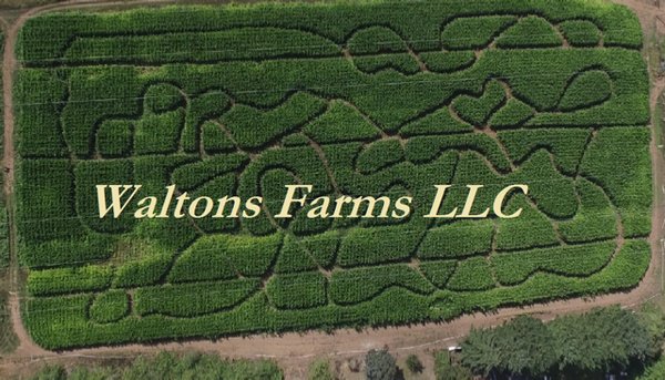 WALTON FARMS LLC - Updated August 2025 - 11 Reviews - 1617 NE 267th Ave ...