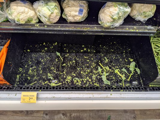 SAFEWAY - 42 Photos & 156 Reviews - 516 1st Ave W, Seattle, Washington ...