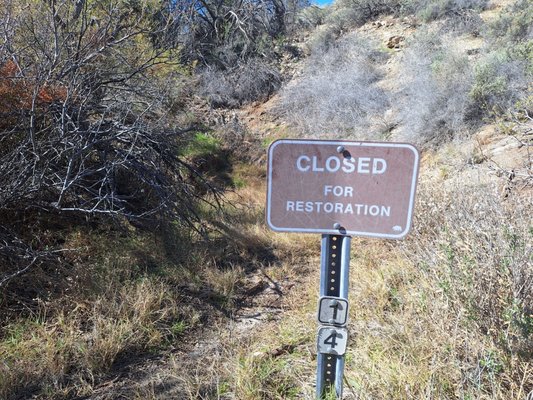 TAMARISK GROVE CAMPGROUND - Updated December 2025 - 54 Photos & 17 ...