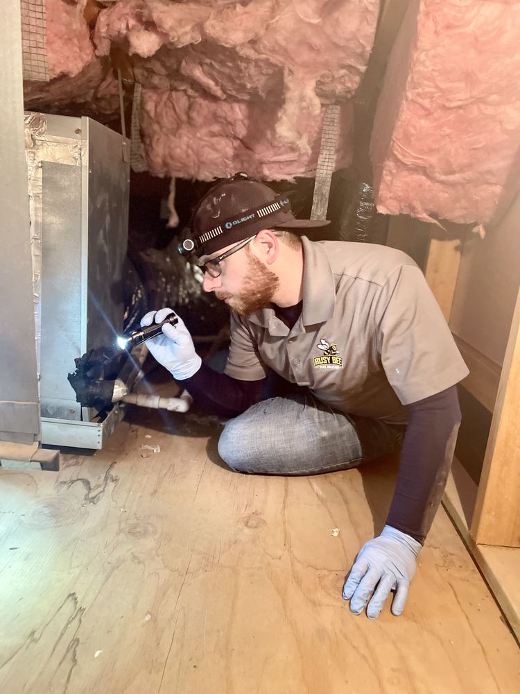 BUSY BEE PEST SOLUTIONS - Updated October 2025 - 49 Photos & 16 Reviews ...