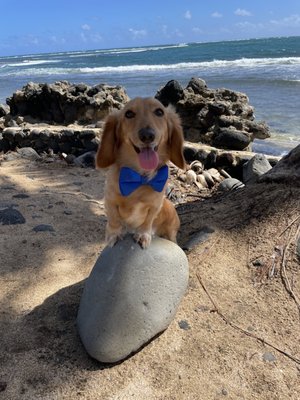 HAUULA BEACH PARK - Updated July 2025 - 36 Photos - 54-135 Kamehameha ...