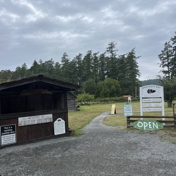 WESTCOTT BAY SHELLFISH COMPANY - Updated October 2025 - 378 Photos ...