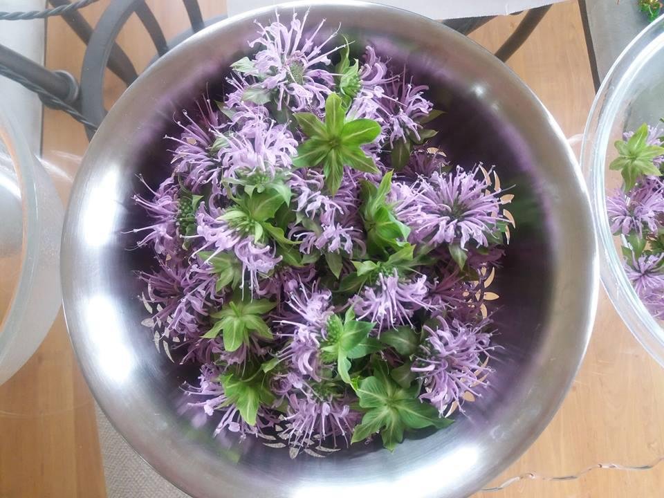 CARA O’NEAL CH - 1317 Fairfield Ave, Windsor, Colorado - Alternative ...