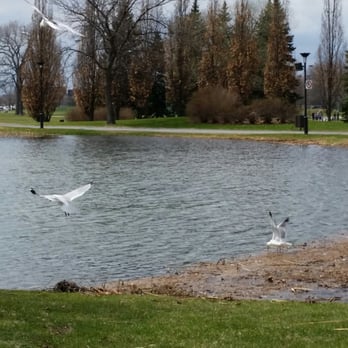 PARC JARRY - Updated July 2025 - 86 Photos & 21 Reviews - 205 Rue Gary ...