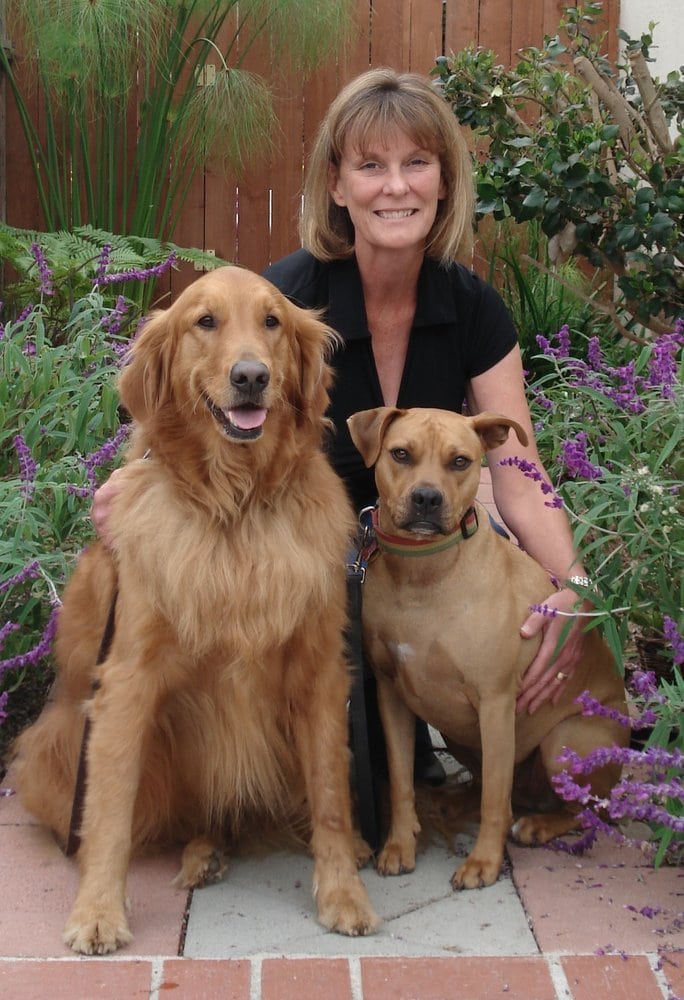 THE EDUCATED DOG LEARNING CENTER - Updated October 2025 - 23 Reviews ...