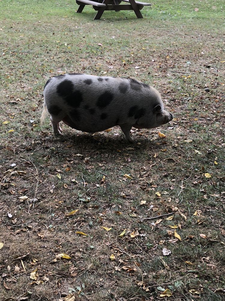 NATURAL VALLEY RANCH - Updated October 2024 - 40 Photos & 20 Reviews ...