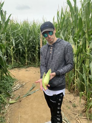 HARBES ORCHARD - Updated August 2025 - 108 Photos & 45 Reviews - 5698 ...