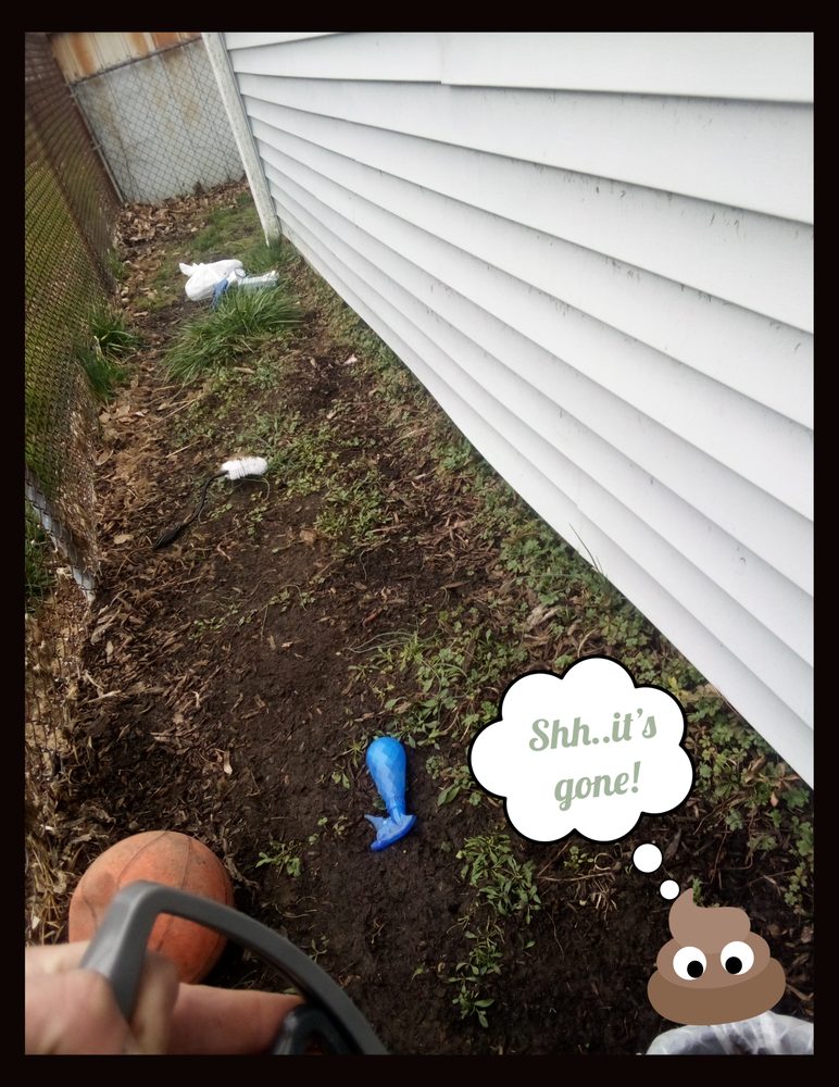 POOP PATROL PET WASTE MANAGEMENT - Updated May 2024 - Request ...