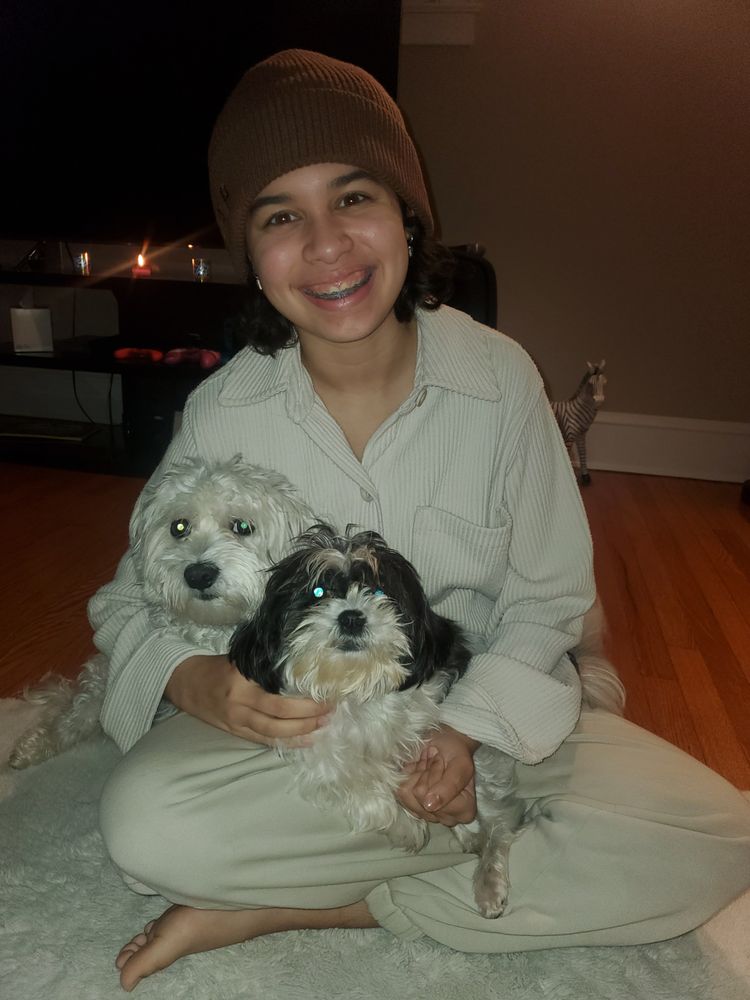 CUPID CLEANING - Updated May 2024 - Request a Quote - West Hartford ...