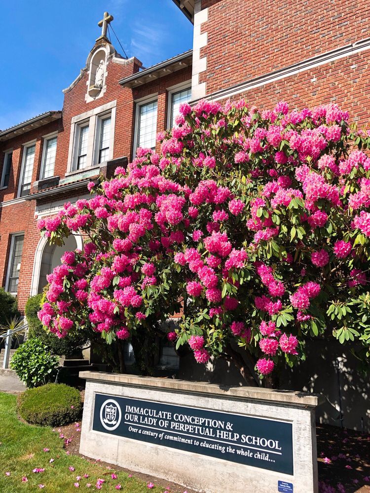 IMMACULATE CONCEPTION SCHOOL - Updated April 2024 - 2508 Hoyt Ave ...