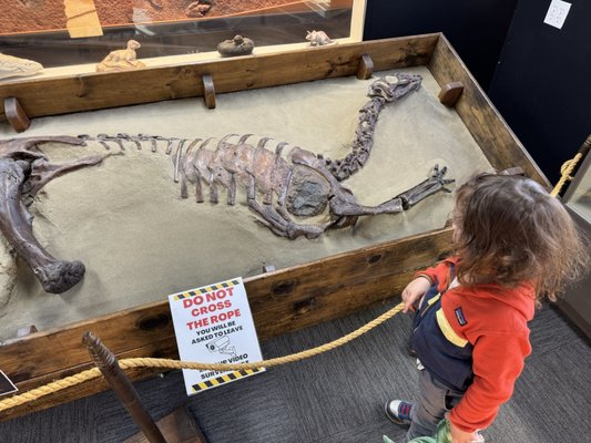 CRATER ROCK MUSEUM & GIFT SHOP - Updated October 2025 - 44 Photos & 27 ...