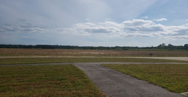 MACHICOMOCO STATE PARK - 25 Photos - 3601 Timberneck Farm Rd, Hayes ...