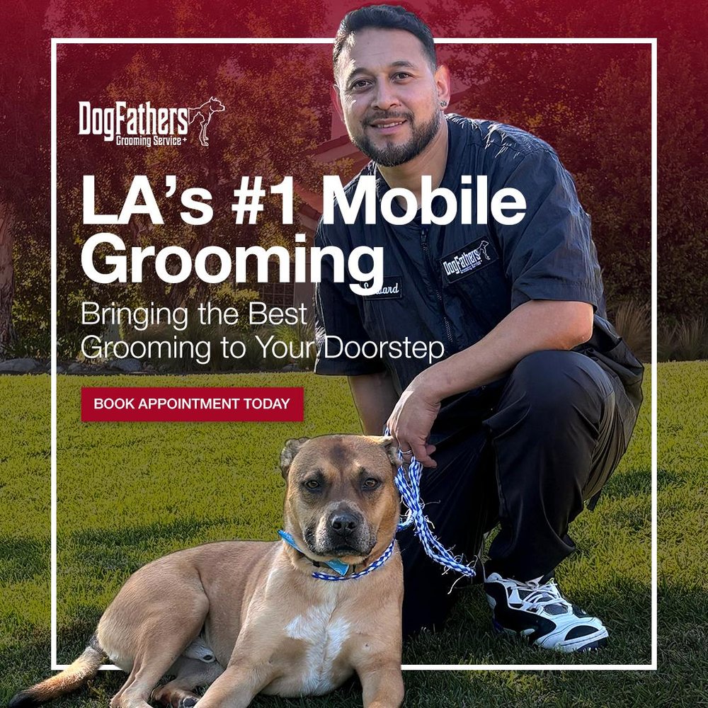 DOGFATHERS GROOMING SERVICE PLUS - Updated June 2025 - 24 Photos ...