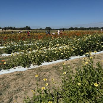 ROCKBERRY RANCH - Updated September 2025 - 159 Photos & 22 Reviews ...