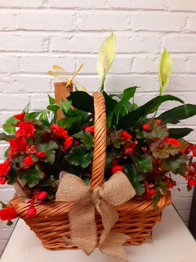 HOUSE OF FLOWERS - 28 Photos & 23 Reviews - 1921 S National Ave ...