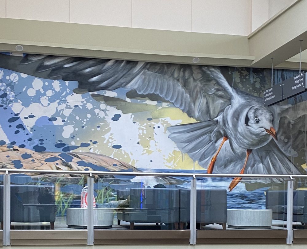 Photos of CONNECTICUT POST MALL - Updated August 2024 - 46 Photos & 66 ...