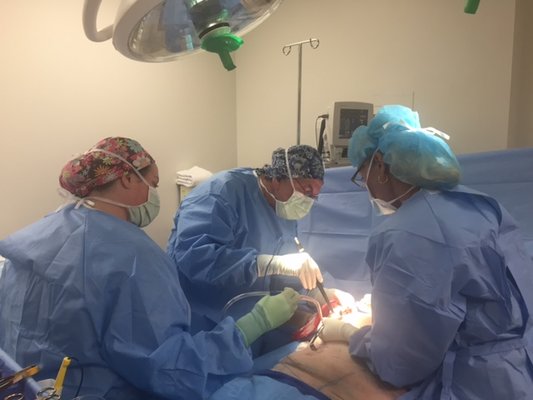 THOMAS P TREVISANI, MD - Updated October 2025 - 15 Photos - 411 W New ...