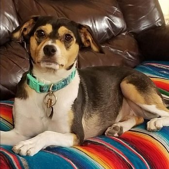 GARFIELD ANIMAL HOSPITAL - Updated December 2025 - 22 Photos & 92 ...