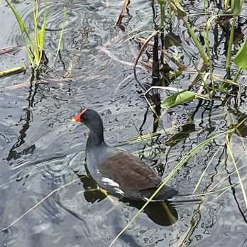 LAKE SHIPP PARK - Updated October 2025 - 77 Photos - 1605 Lake Shipp Dr ...