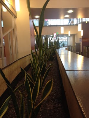 MILLCREEK LIBRARY - Updated September 2025 - 22 Photos & 11 Reviews ...