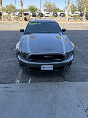 FINDLAY NISSAN HENDERSON - Updated December 2025 - 103 Photos & 479 ...