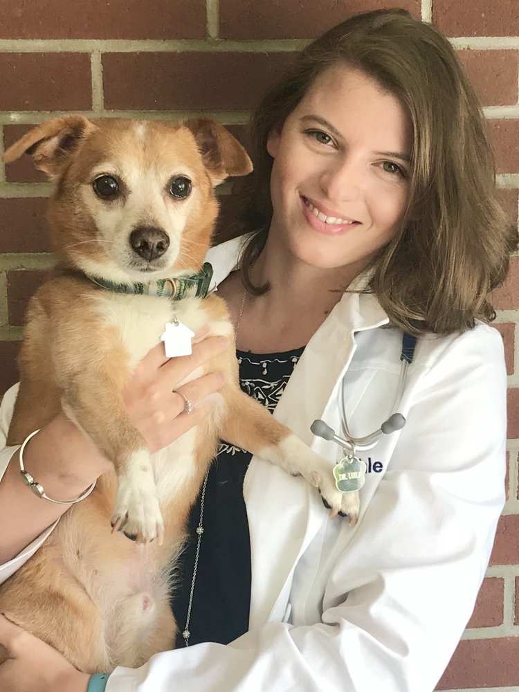 WESTFIELD ANIMAL HOSPITAL - 26 Photos & 54 Reviews - 357 South Ave E ...