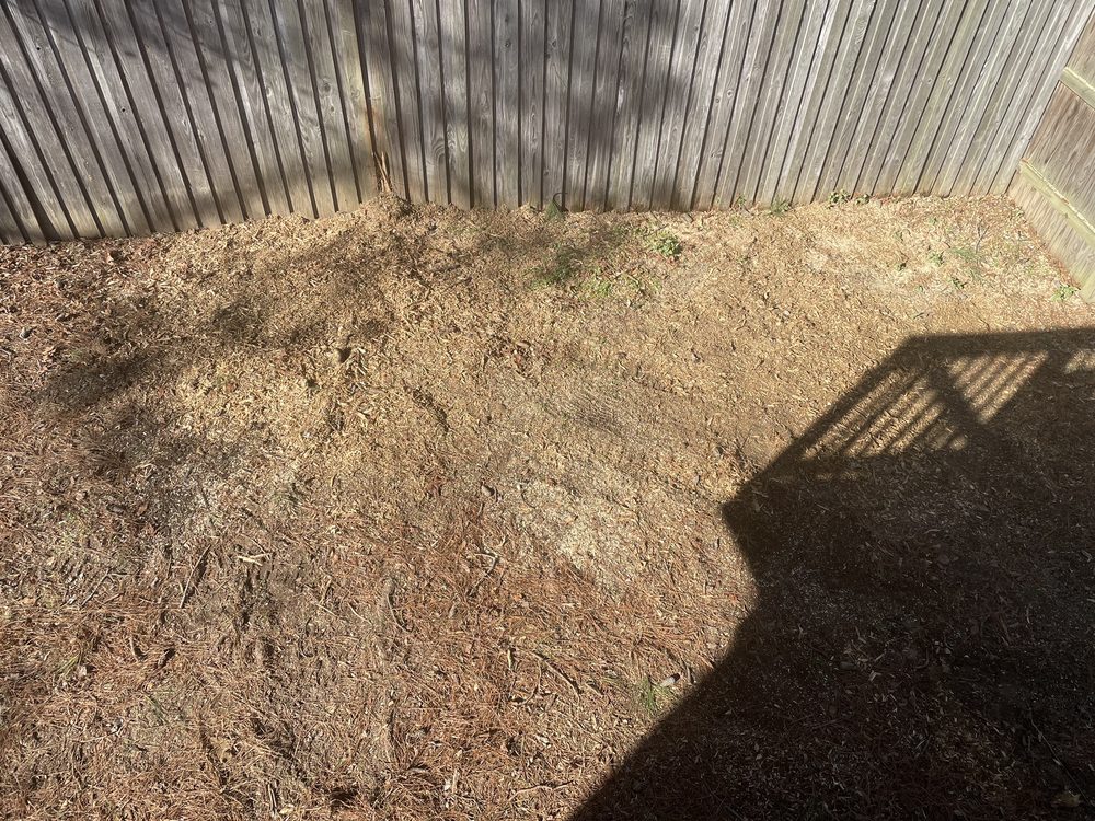 LPZ TREE SOLUTION - Updated October 2025 - 45 Photos & 10 Reviews ...