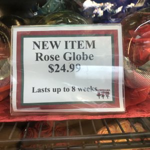 FLOWERAMA - MIDDLEBURG HEIGHTS - 40 Photos & 11 Reviews - 7584 Pearl Rd ...