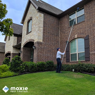 MOXIE PEST CONTROL - BOSTON - Updated January 2026 - 50 Photos & 32 ...