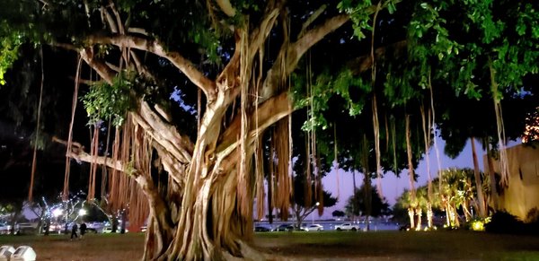 NORTH STRAUB PARK - 116 Photos & 17 Reviews - Parks - 400 Bayshore Dr ...