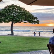 BEACH TREE RESTAURANT BAR AND LOUNGE - 418 Photos & 272 Reviews - 72 ...