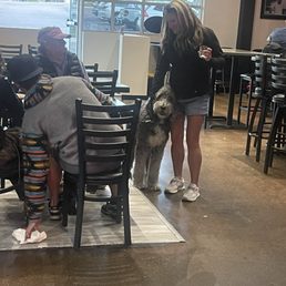 CADDY SHACK CANTINA - Updated June 2025 - 77 Photos & 46 Reviews - 9535 ...