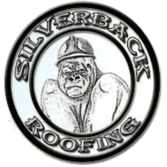 SILVERBACK ROOFING - Updated February 2025 - 63 Photos - Mesa, Arizona ...