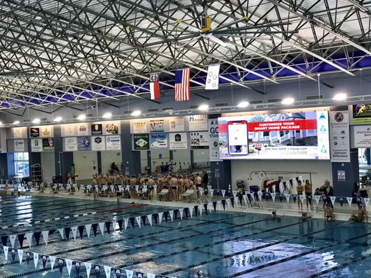 TRIANGLE AQUATIC CENTER - 31 Photos & 32 Reviews - Swimming Pools - 275 ...