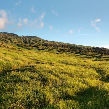 THOMPSON ROAD - Updated October 2025 - 75 Photos - Thompson Rd, Kula ...