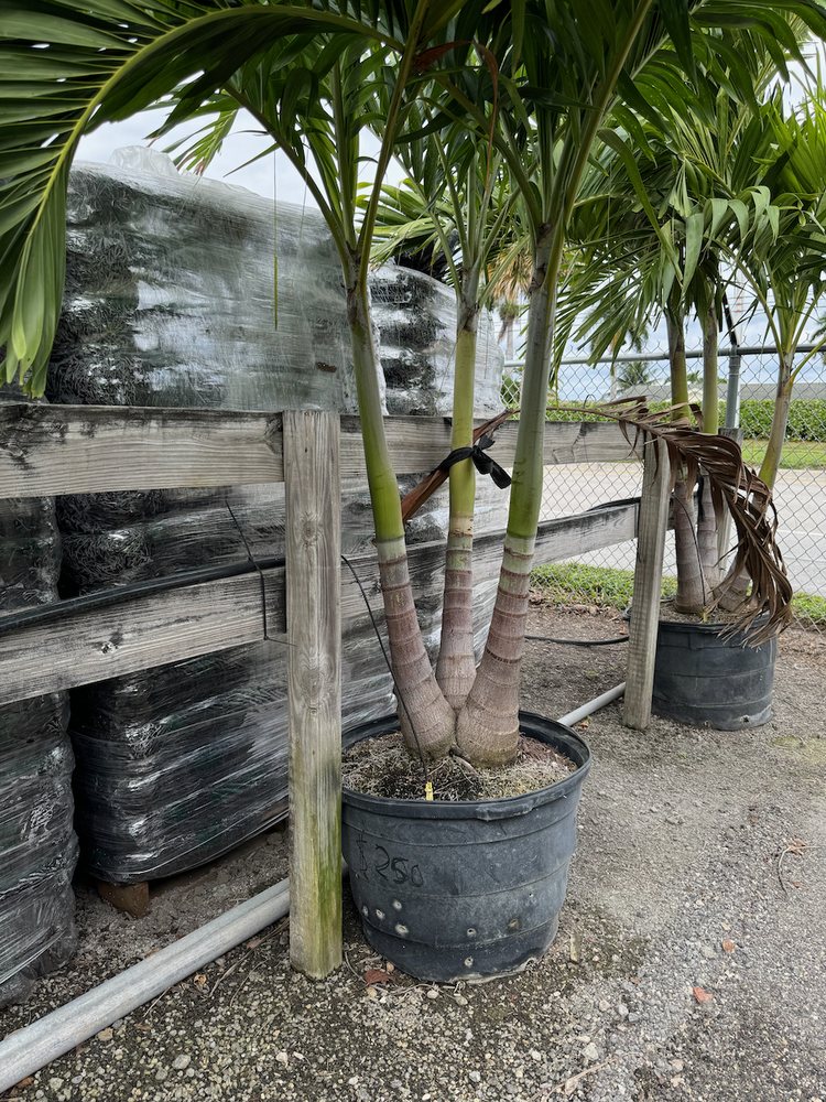 THE BUSHEL STOP - Updated December 2025 - 33 Photos & 29 Reviews - 8640 ...