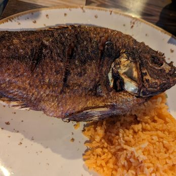 TACO ADDICTS - Updated July 2025 - 236 Photos & 186 Reviews - 131 ...